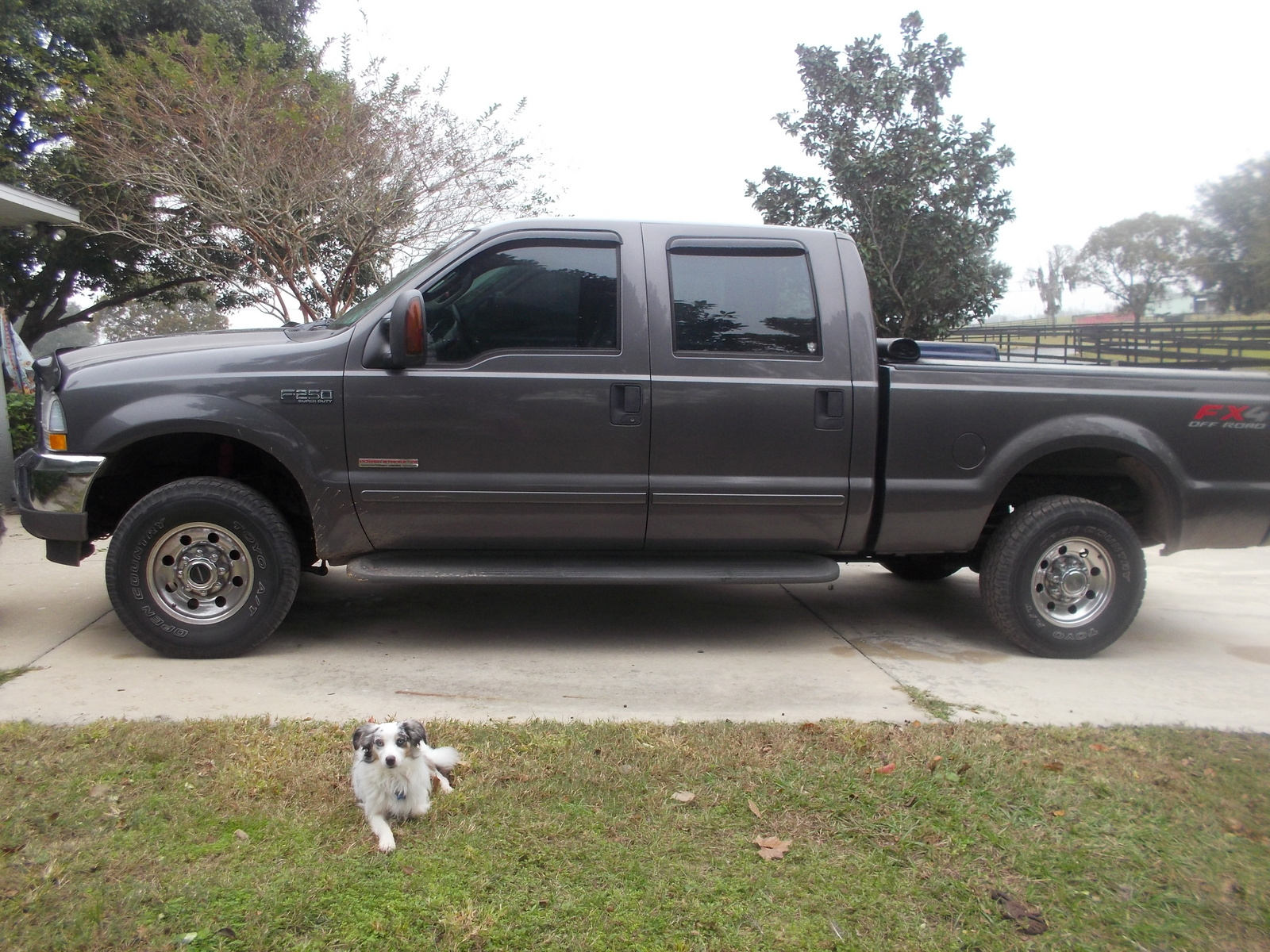 2003 Ford F 250 Super Duty Pictures Cargurus