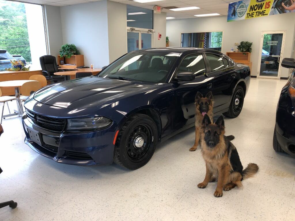 Used 2016 Dodge Charger Police AWD for Sale (with Photos) - CarGurus
