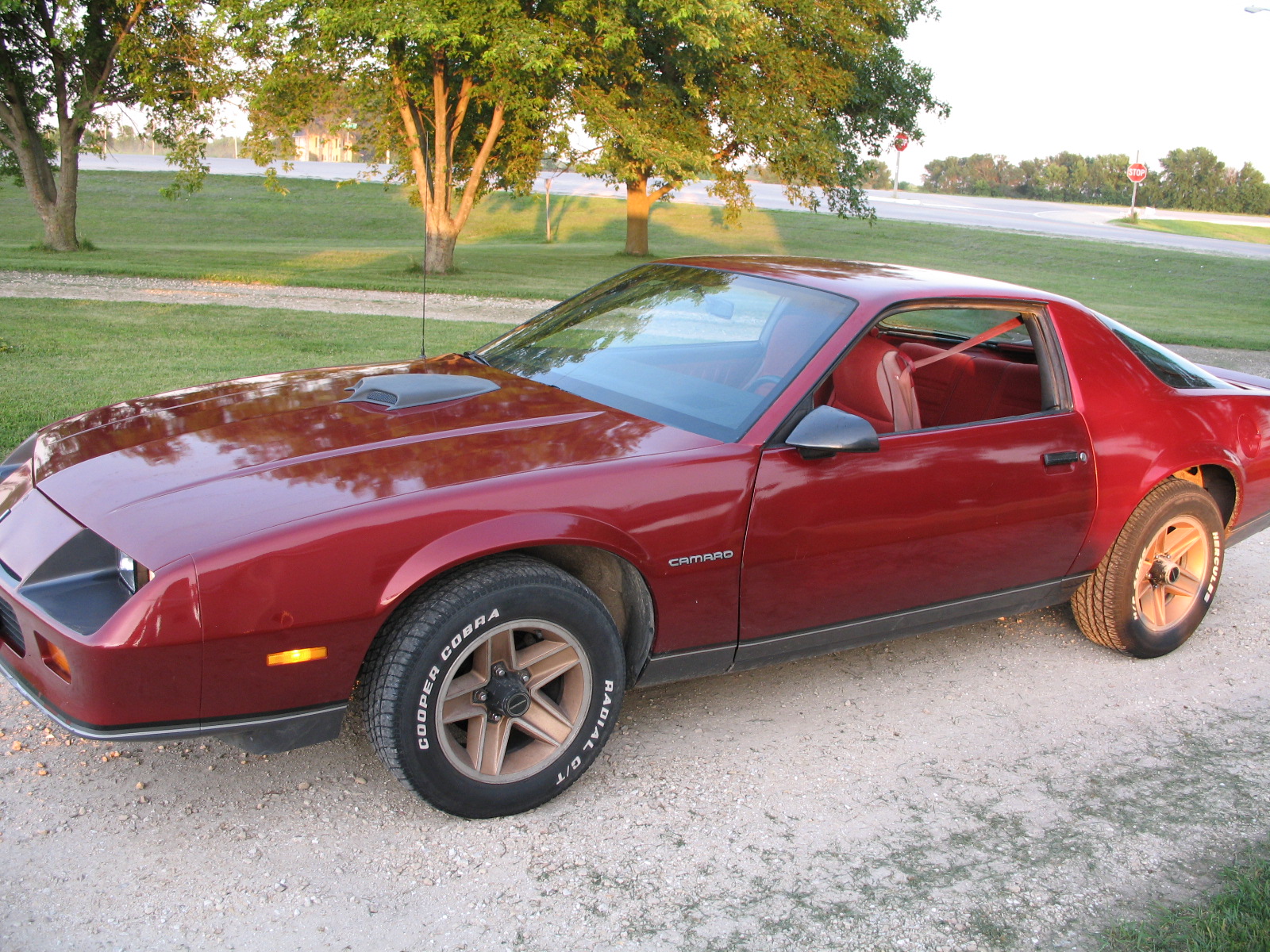 1987 Chevrolet Camaro - Pictures - CarGurus