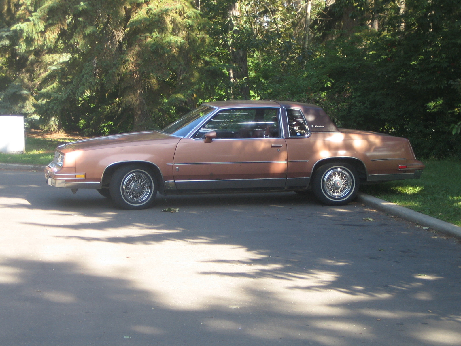 1982 Oldsmobile Cutlass Supreme - Pictures - CarGurus
