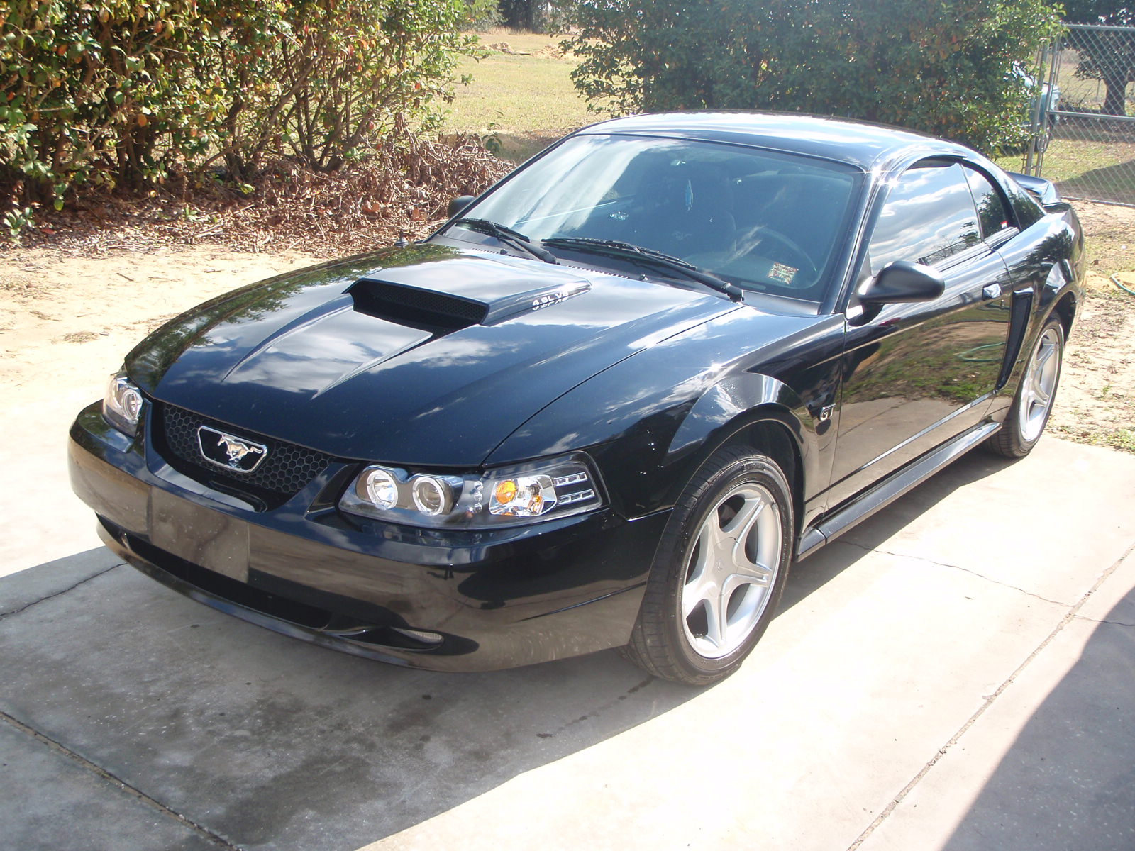 2000 Ford Mustang - Pictures - CarGurus