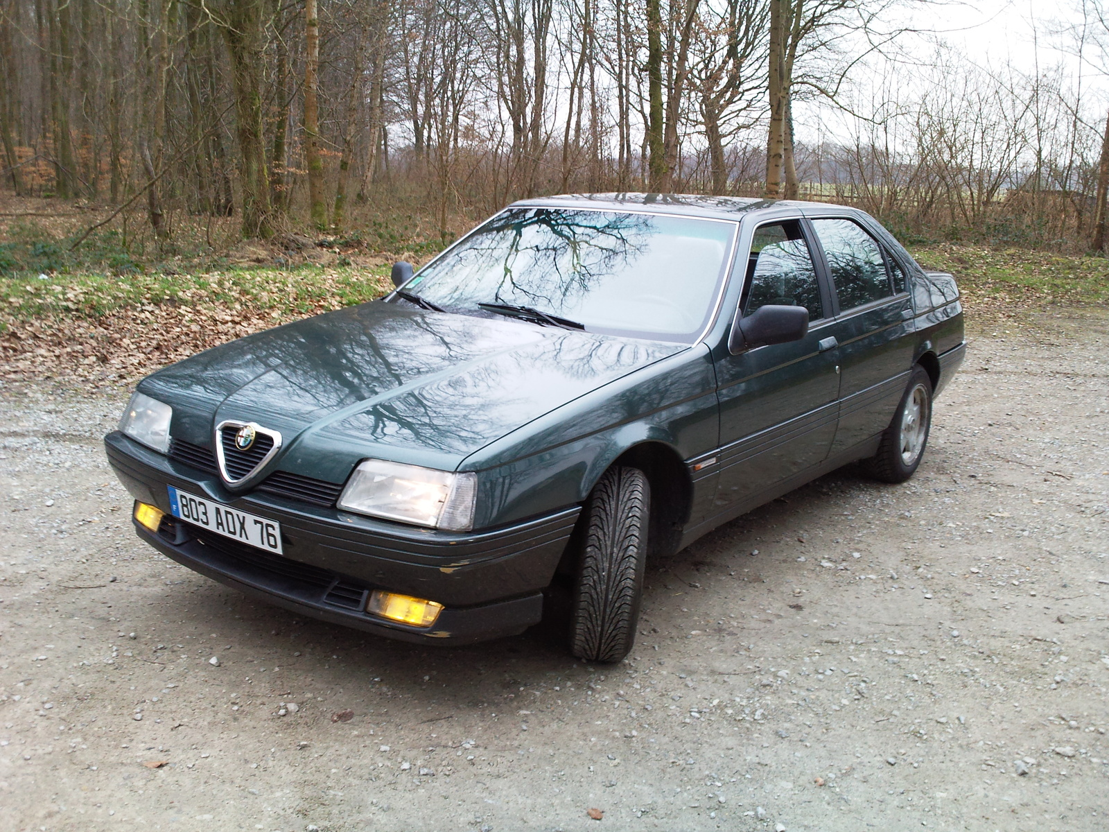 1991 Alfa Romeo 164 - Pictures - CarGurus