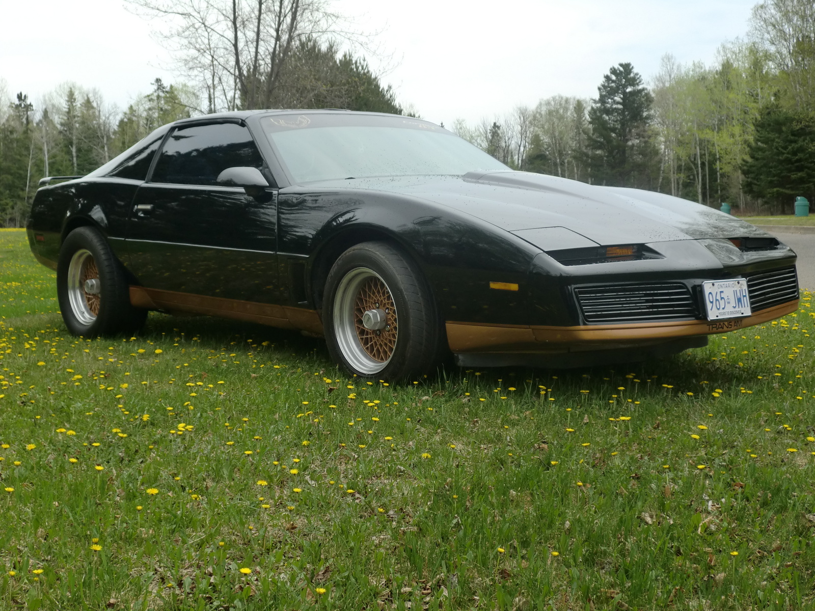 trans - JungleKey.fr Image #350