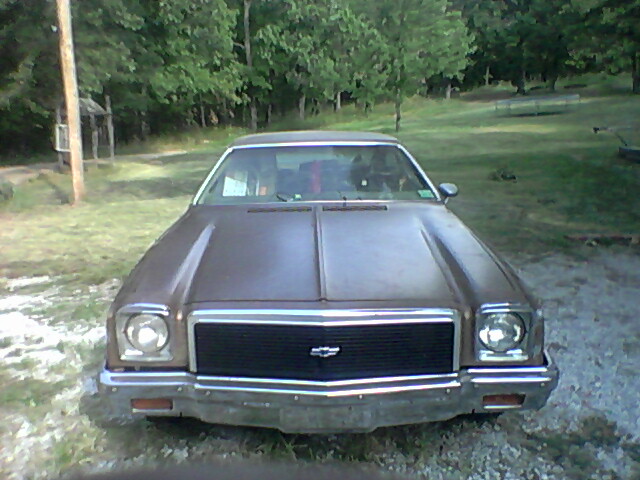 1976 Chevrolet Chevelle - Pictures - CarGurus