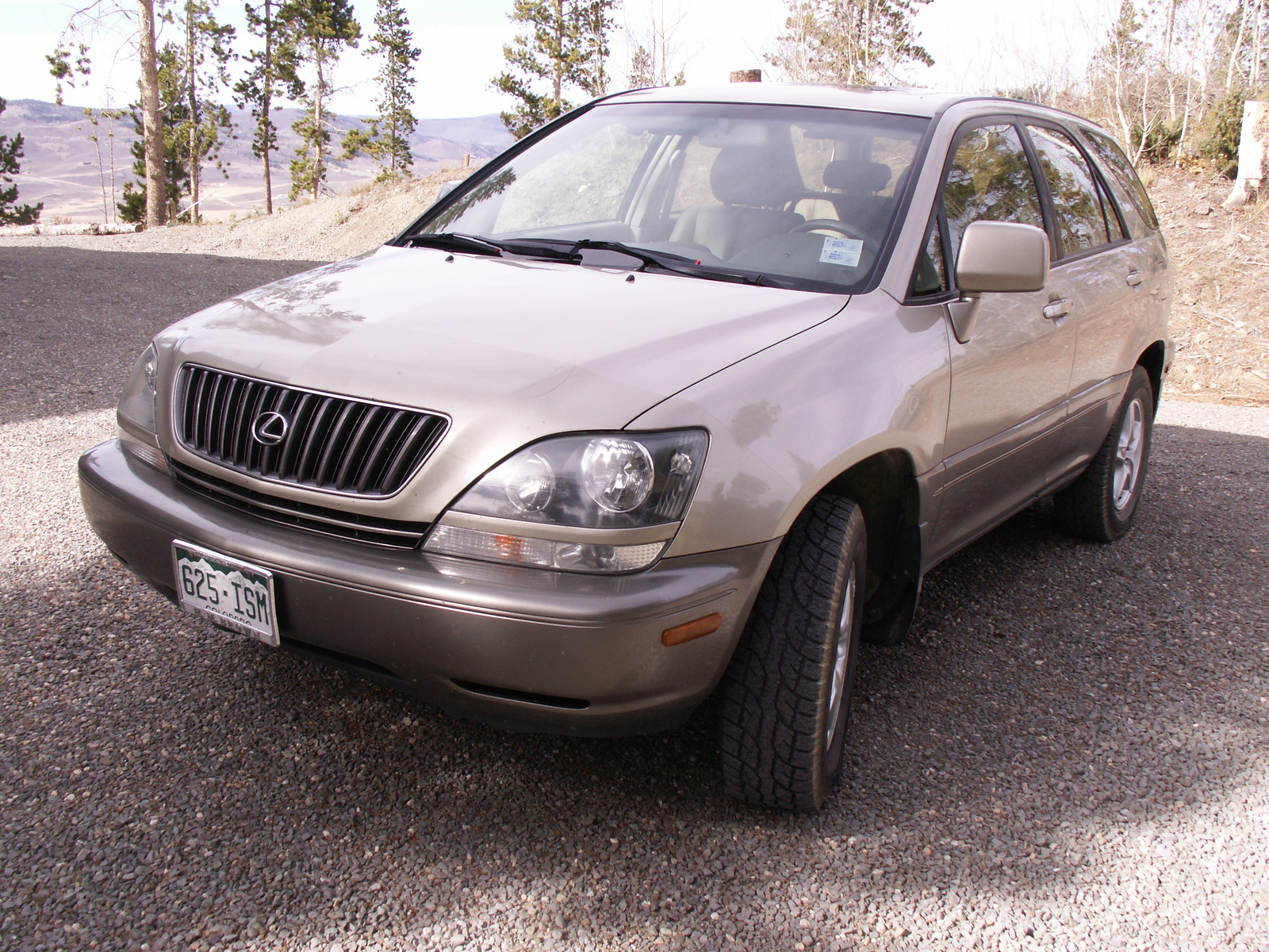 1999 Lexus RX 300 - Pictures - CarGurus