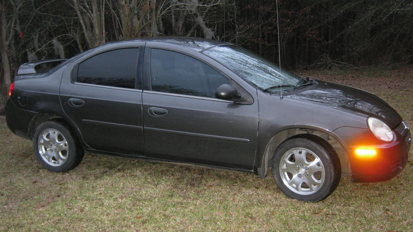 2004 Dodge Neon - Pictures - CarGurus