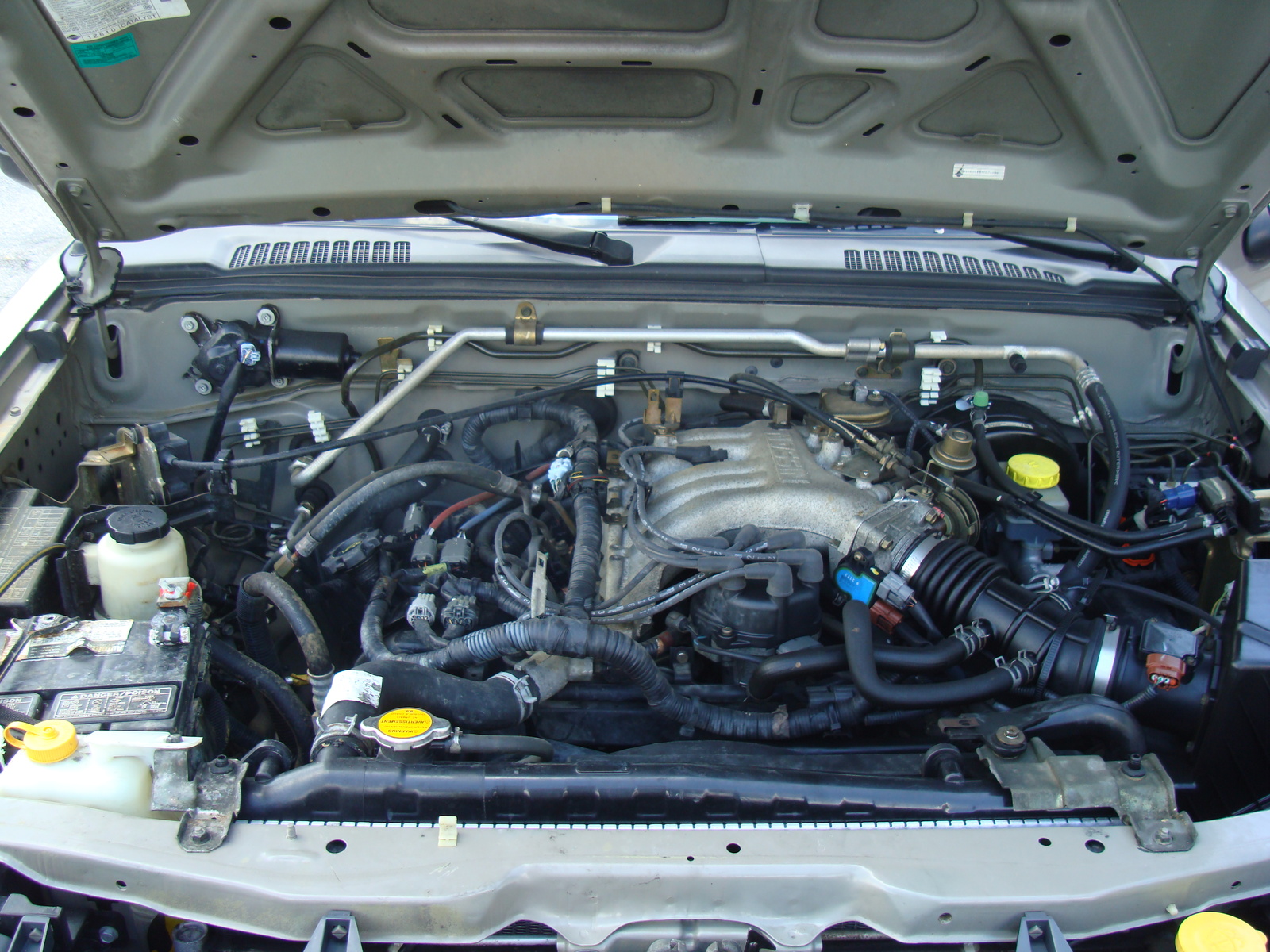 2003 Nissan Xterra - Pictures - CarGurus