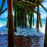 Volkswagen of St Augustine - St Augustine, FL: Read Consumer reviews ...