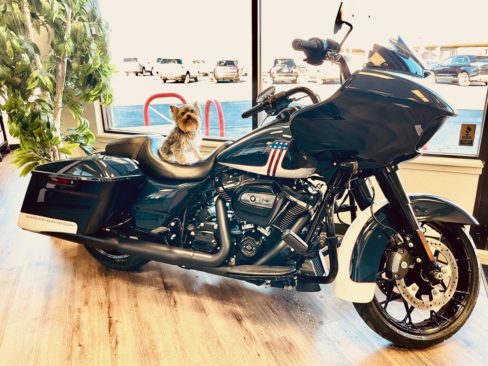 Hamsmith Motor Company - CarGurus